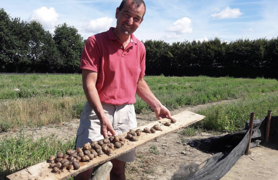 Les MIL en BTS - Institut de Genech