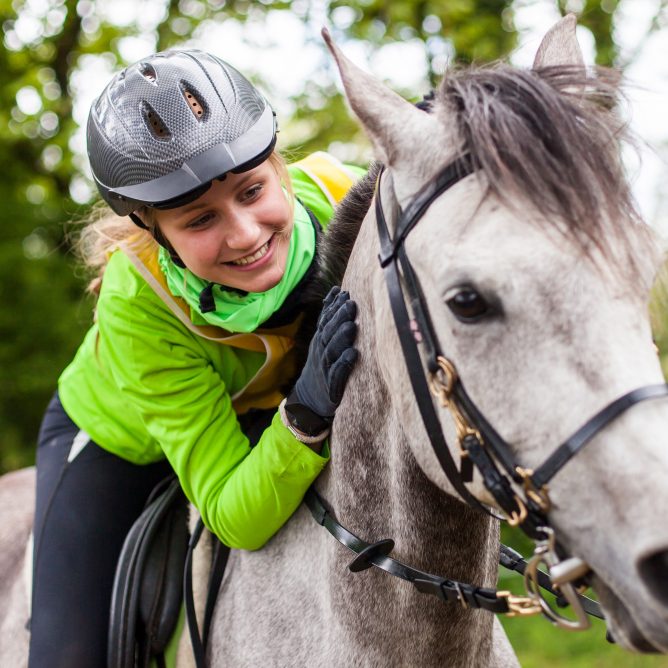 Bac Pro Conduite Gestion Entreprise Hippique (app)