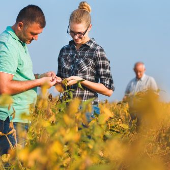 BTS Agronomie Cultures Durables