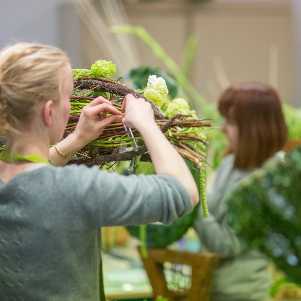 CAP Fleuriste en apprentissage - Genech Formation