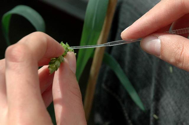 Un laboratoire in-vitro à la pointe