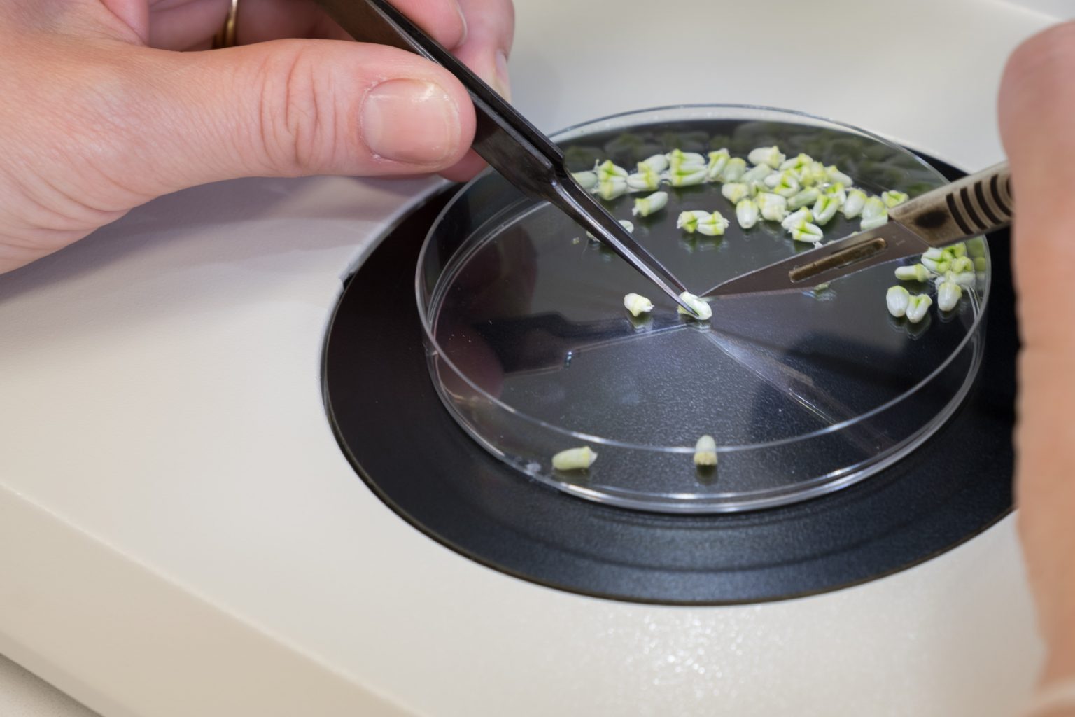 Un laboratoire in-vitro à la pointe, pour les élèves et les professionnels