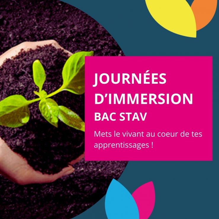 Journées d'immersion STAV 2025